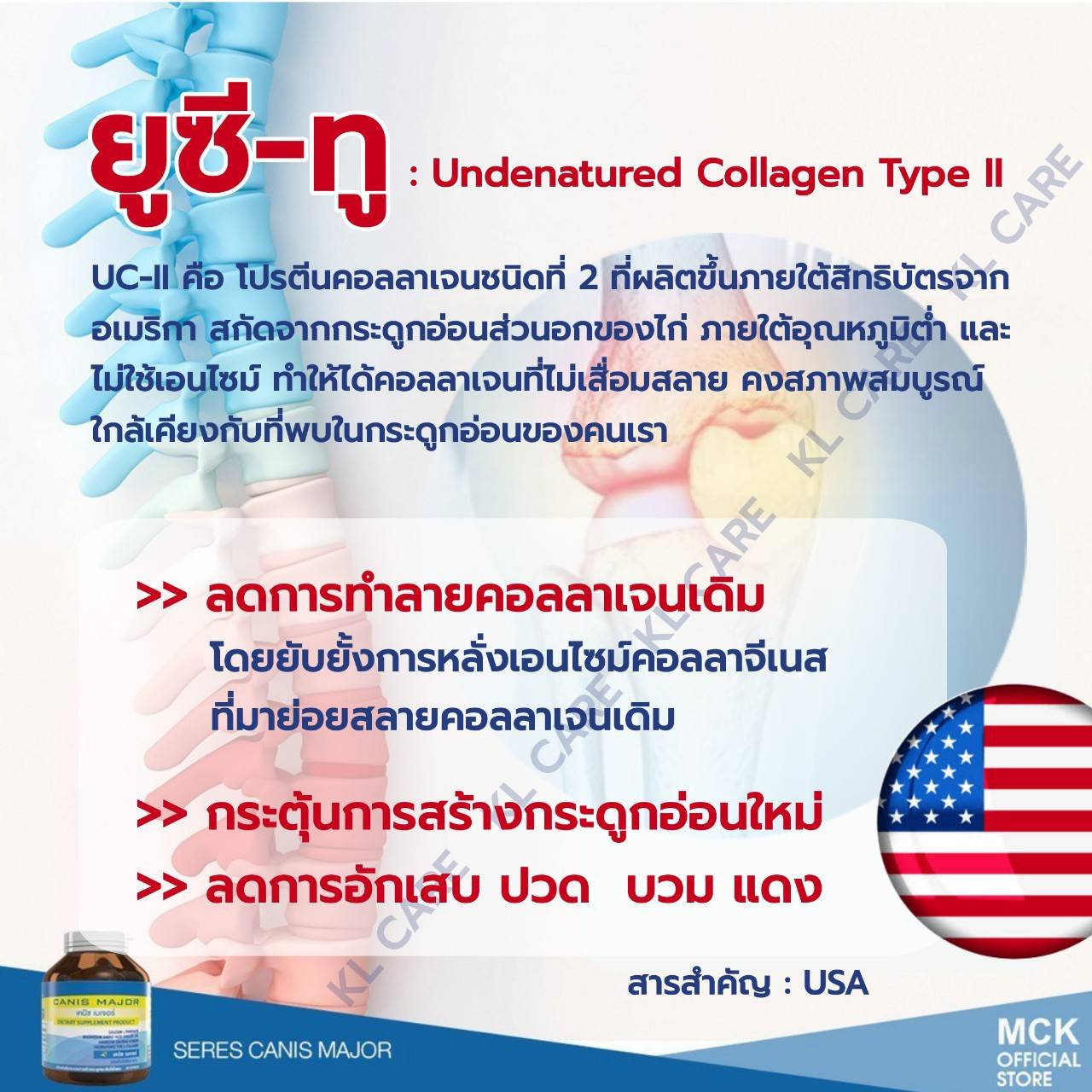 Calcium L-Threonat Collagen แคลเซียม แอลทรีโอเนต ไทพ์-ทู คอลลาเจน SERES ...