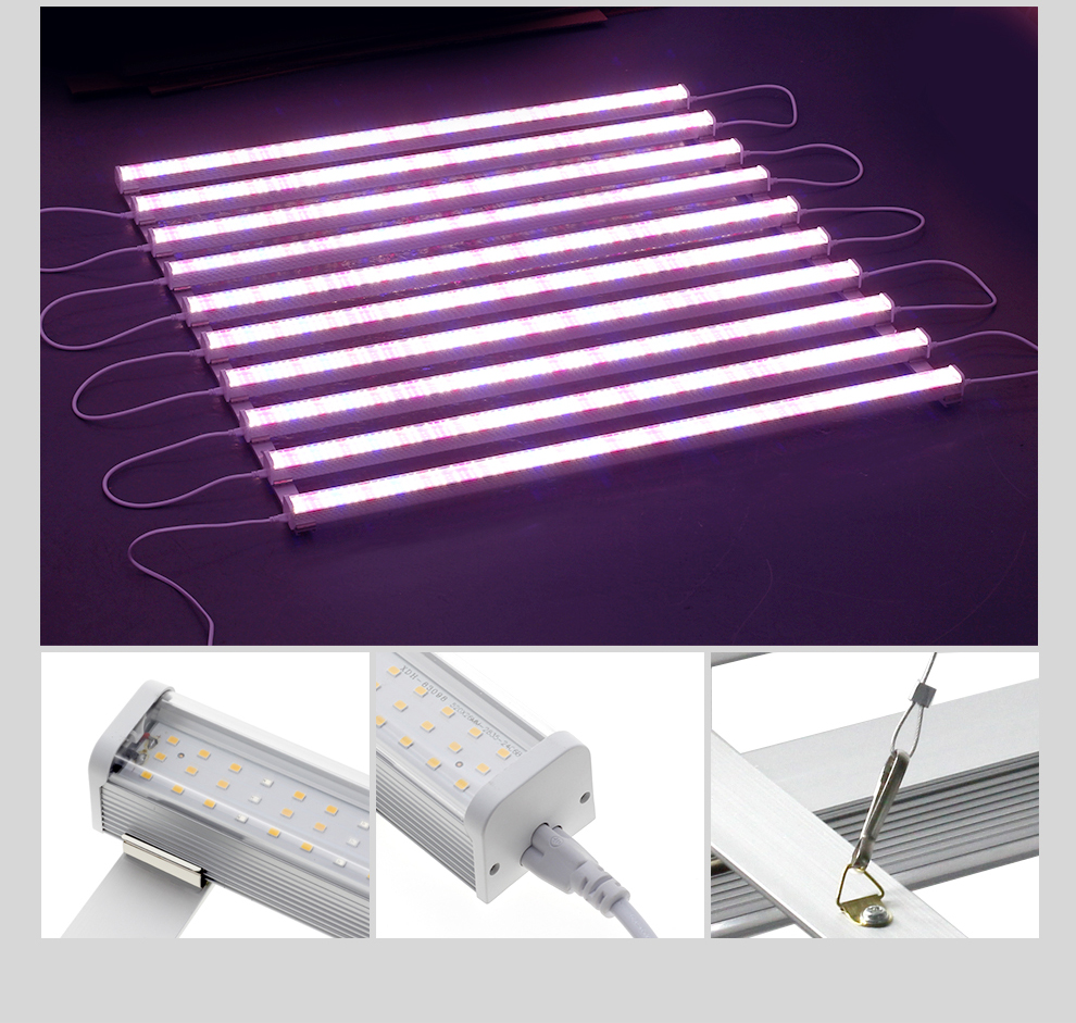 AC220V Full Spectrum LED Grow Light ไฟบอกว่าบาร์ปลูกต้นไม้ 105CM 1000W ...