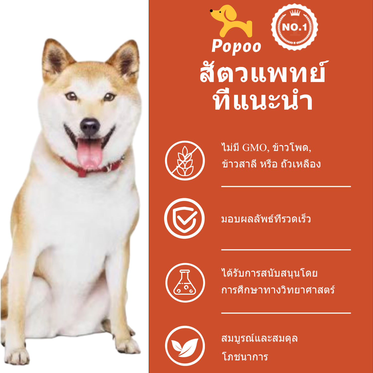 Popoo Multivitamins for Dogs Treats ขนมสุนัข อาหารสุนัข วิตามิน บำรุง ...