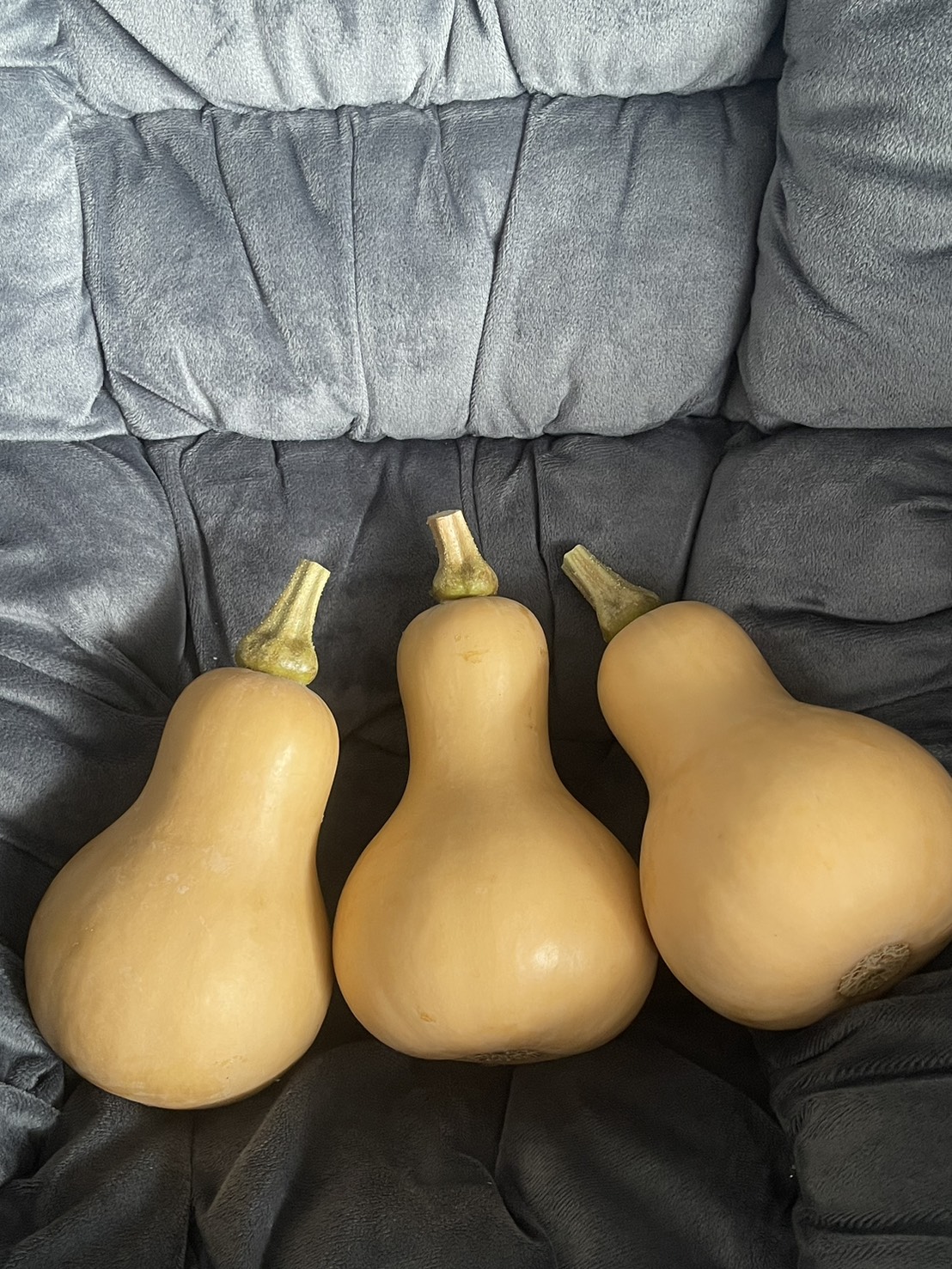 ฟักทอง / บัตเตอร์นัท / บัตเตอร์นัท (ผลสด) 1กก. 3กก. 5 กก. / kg ...