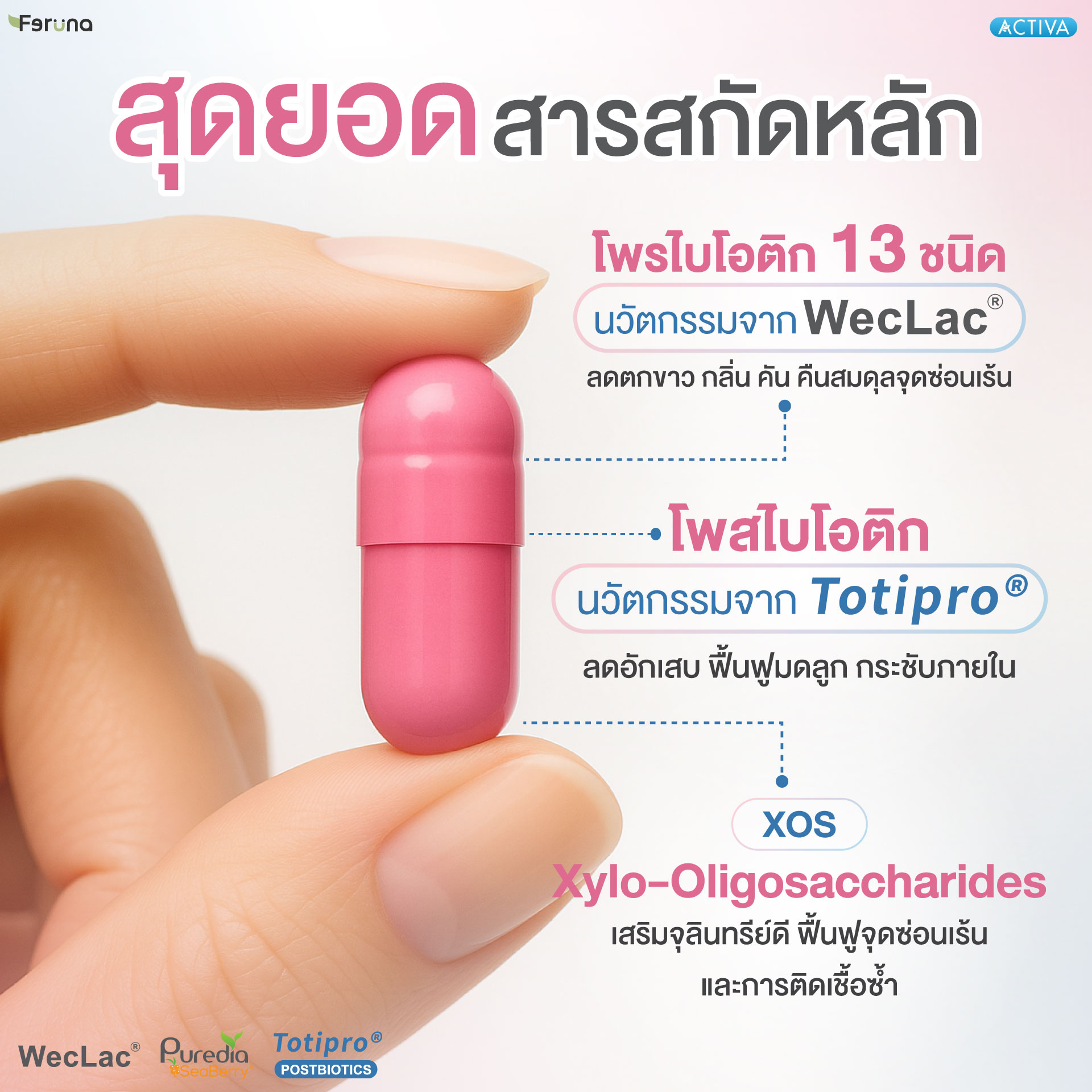 Feruna LactoWe ฟีรูน่าแลคโตวี โพรไบโอติกส์สำหรับผู้หญิง ปรับสมดุลบำรุงภายใน : 4 กระปุก | Shopee ...