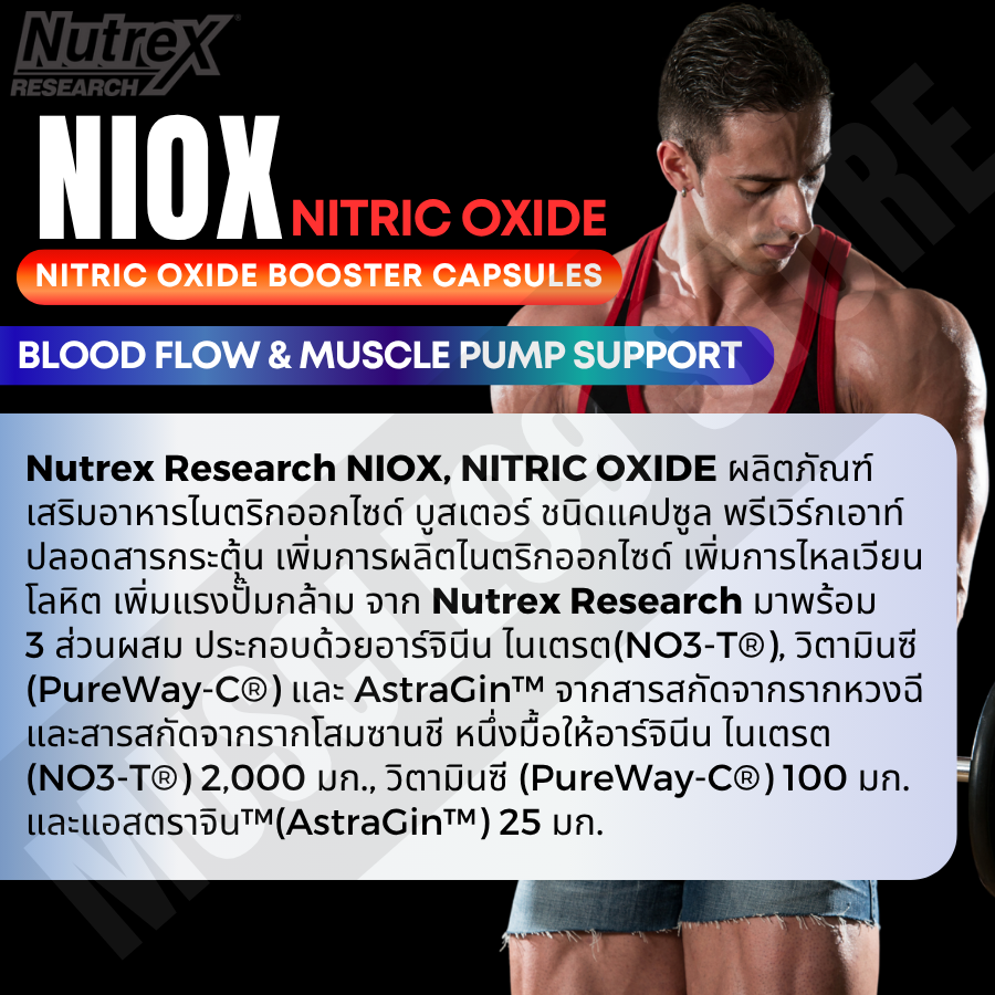 💊Nutrex Research NIOX(90 Capsules) ไนตริกออกไซด์ บูสเตอร์ ชนิดแคปซูล | Shopee Thailand