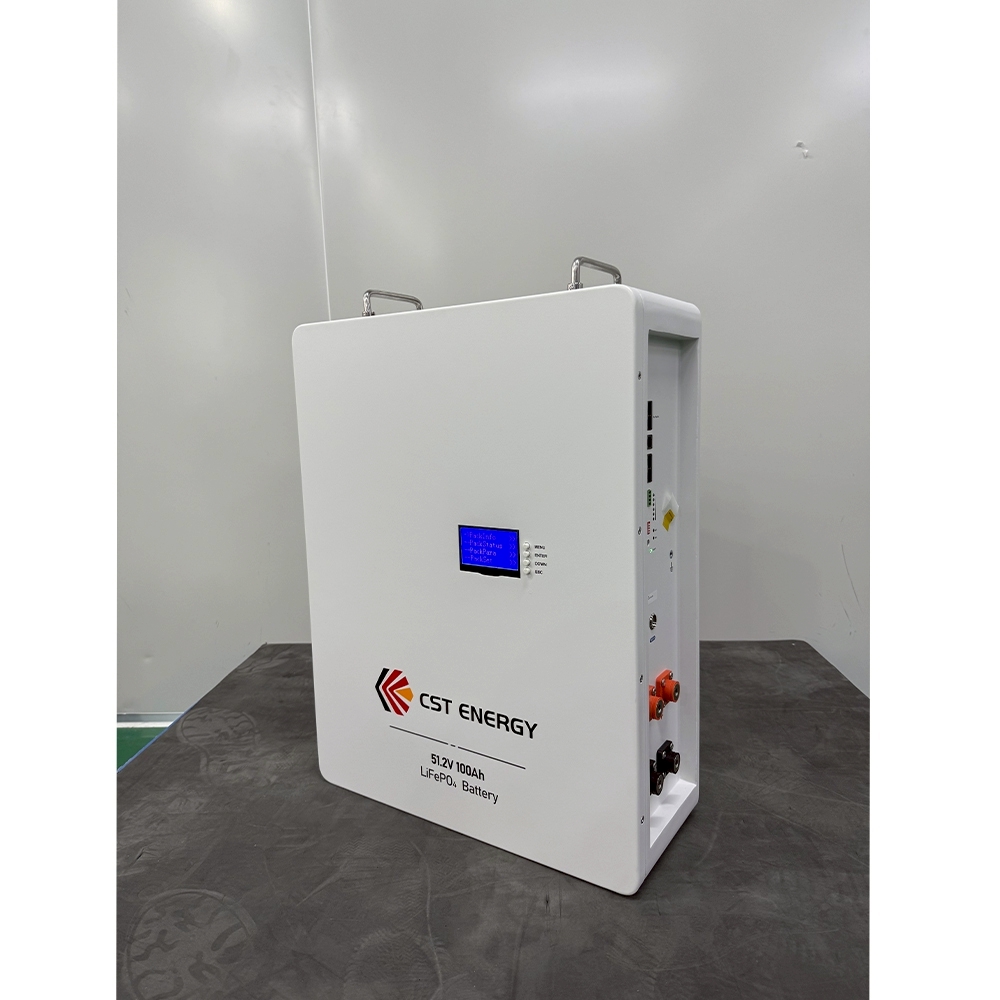 CST ENERGY 51.2V 100Ah Home Wall Mounted Lithium Iron Phosphate Battery ...