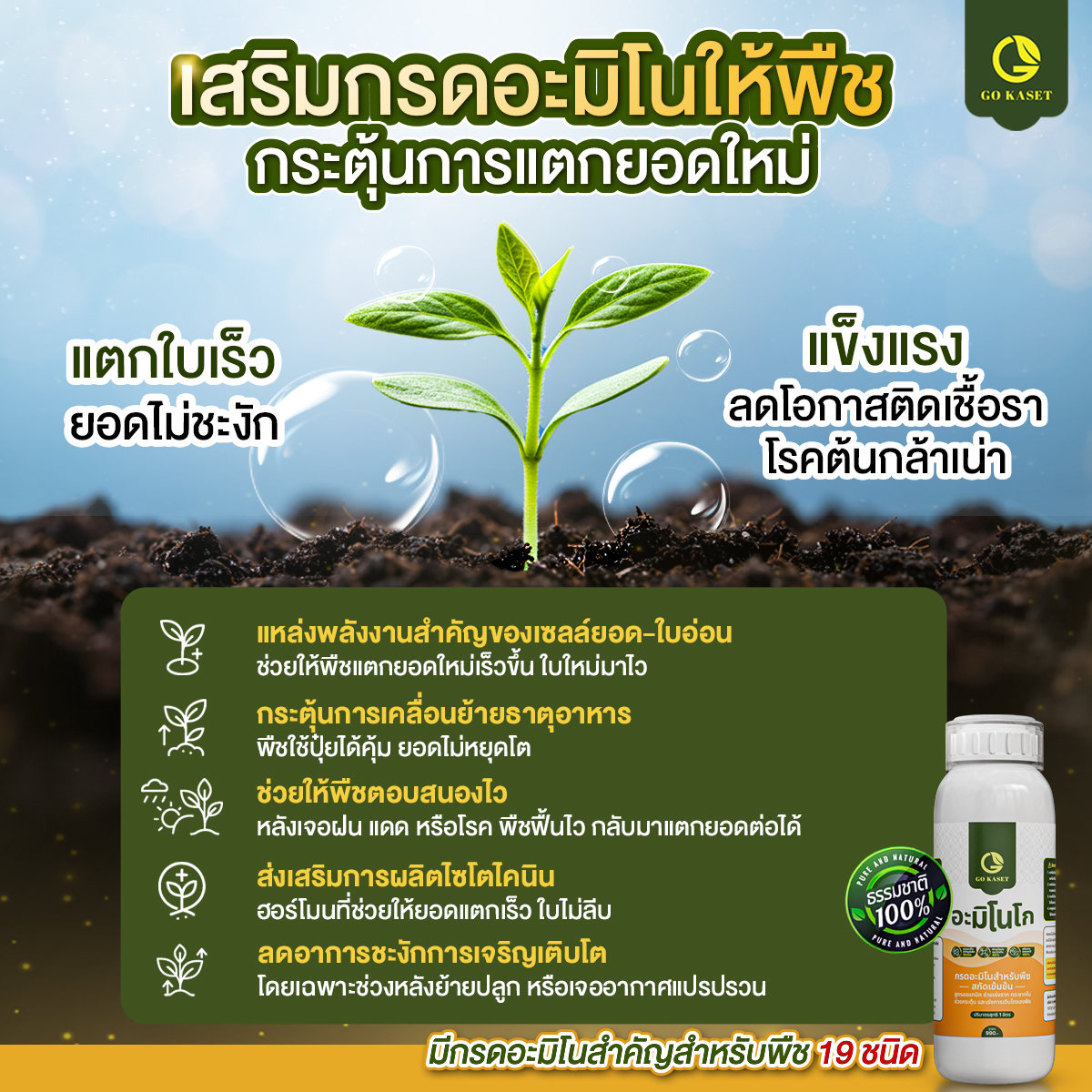 [4ขวด] อะมิโนโก(ขวดใหญ่) 1,000 ML - AMINO GO กรดอะมิโนสำคัญต่อพืช 19 ...