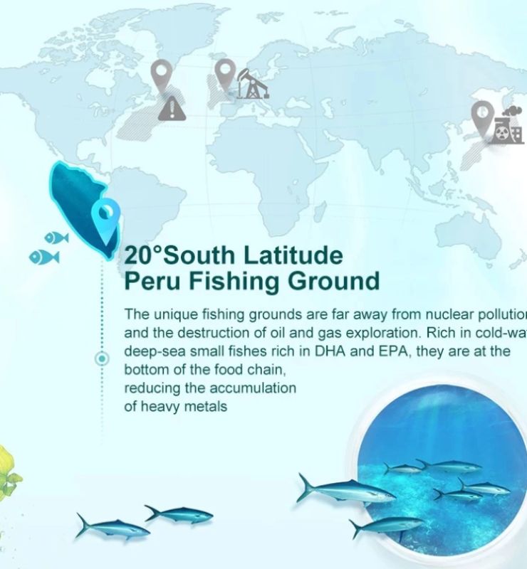 Blackmores Fish Oil Omega 3 epa dhc 400แคปซูล น้ำมันปลาโอเมก้า3 บำรุง ...