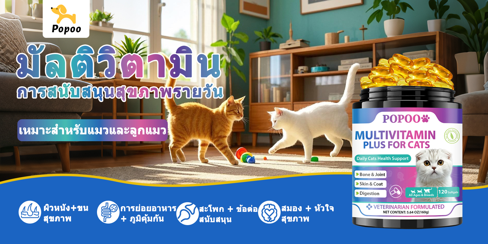 Popoo Multivitamins for Cats Overall Support วิตามินแมว ขนมแมว อาหาร ...
