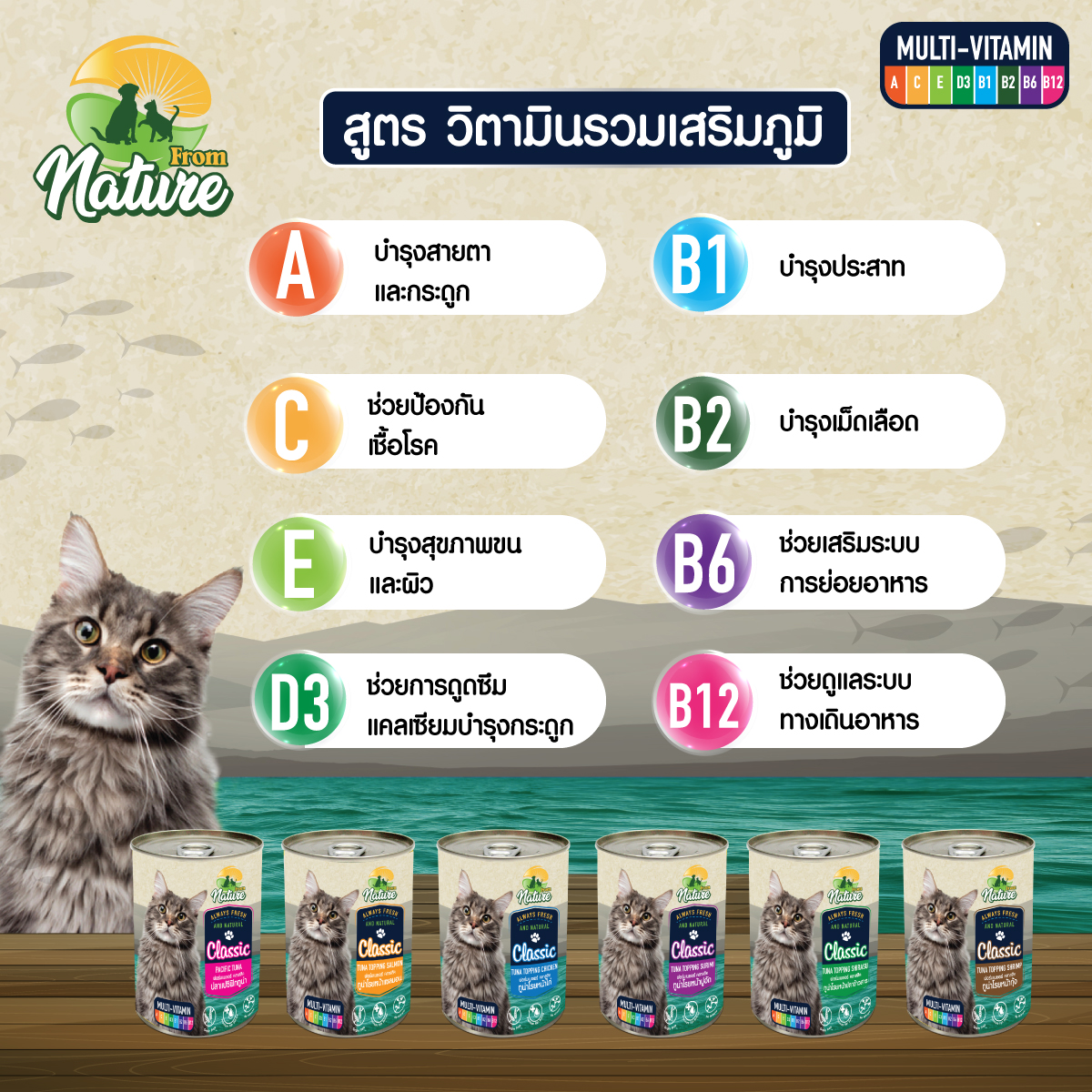 From Nature แพ็ค 12 กระป๋อง อาหารแมวกระป๋อง วิตามันรวม 400 กรัม(CLS ...