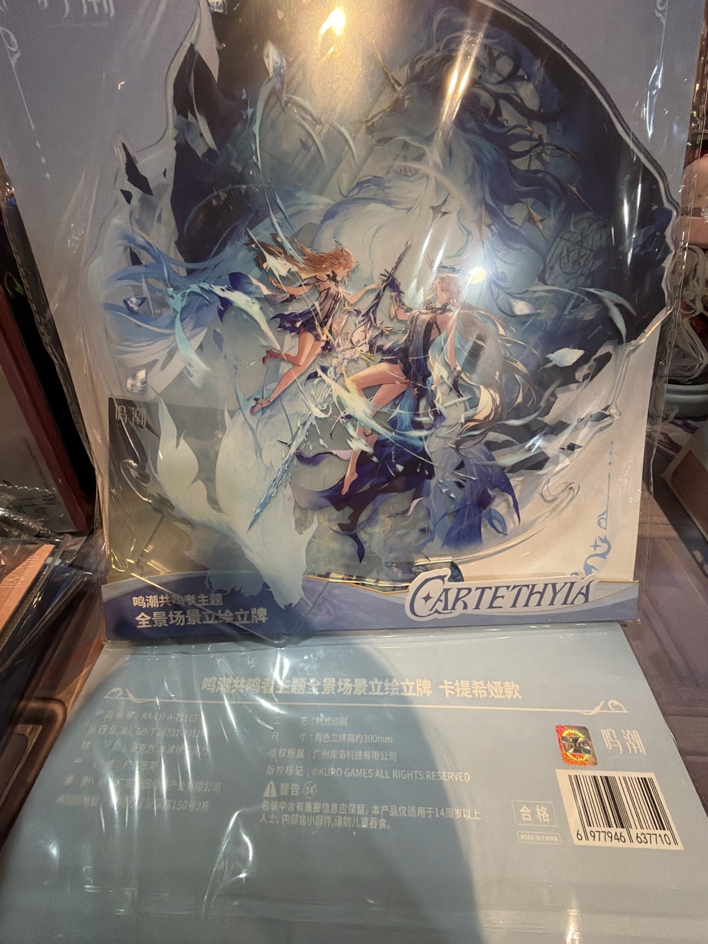 [จัดส่งใน7วัน] official แท้ *อันใหญ่ 30cm * Cartethyia wuthering waves ...