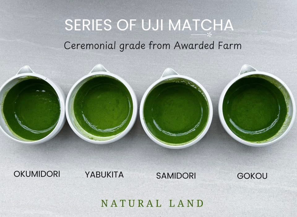 UJI SERIES MATCHA (1ST HARVEST) มัทฉะจาก UJI เกรดพิธีการ UJI เกียวโต ...
