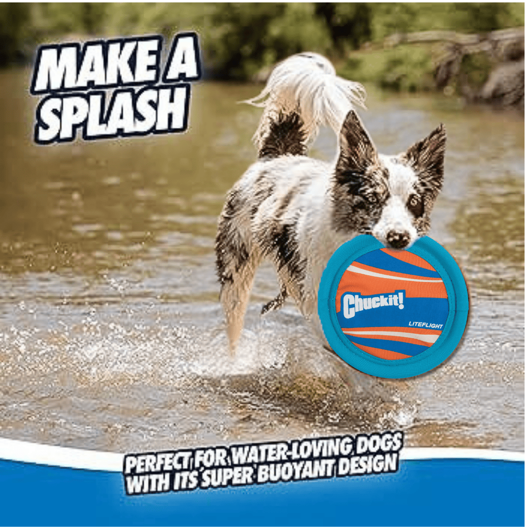 Chuckit! LITEFLIGHT 10" Dog Fetch Toy Frisbee Soft rounded edges with ...