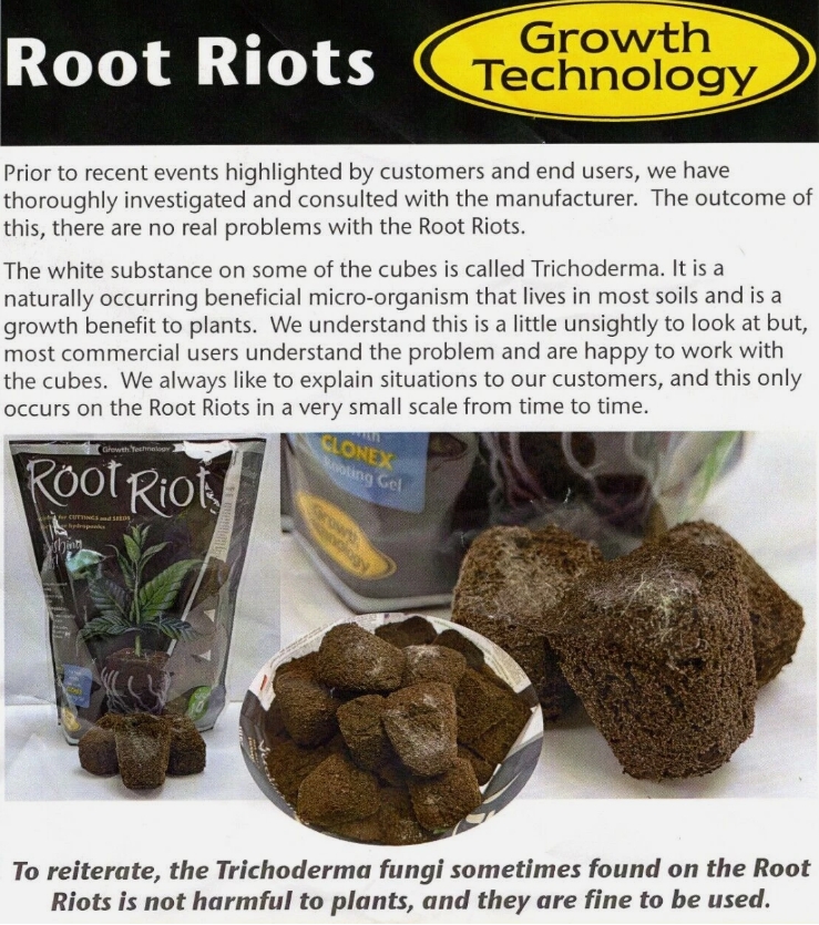 🔥new🔥gt Root Riot Propagation Cubes 50 ชิ้น และ 100 ชิ้นตัวช่วยเพาะ 8550