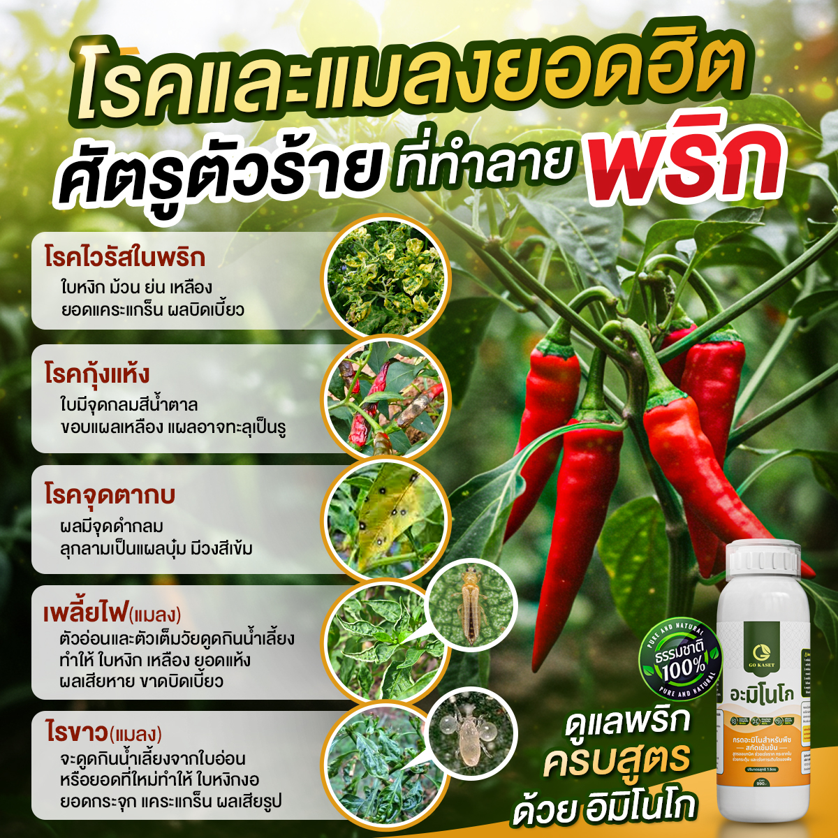 [4ขวด] อะมิโนโก(ขวดใหญ่) 1,000 ML - AMINO GO กรดอะมิโนสำคัญต่อพืช 19 ...