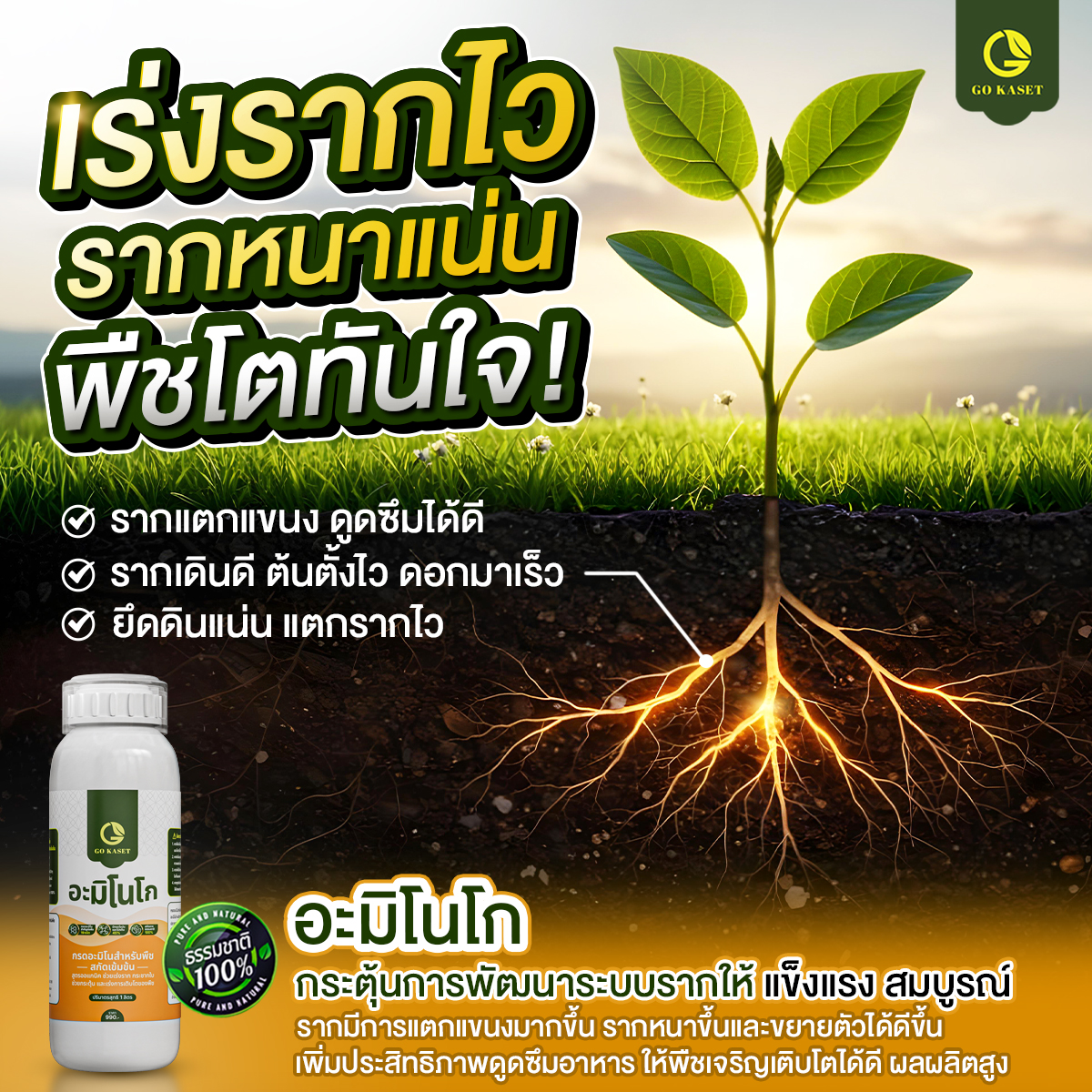[4ขวด] อะมิโนโก(ขวดใหญ่) 1,000 ML - AMINO GO กรดอะมิโนสำคัญต่อพืช 19 ...