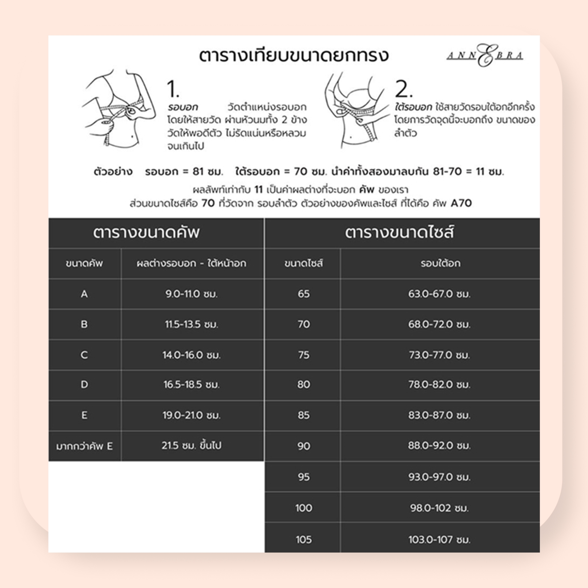 Annebra บราเสริมทรง บราลูกไม้ ตะขอหลัง คอวี มีโครง มีฟองน้ำ Push up ...