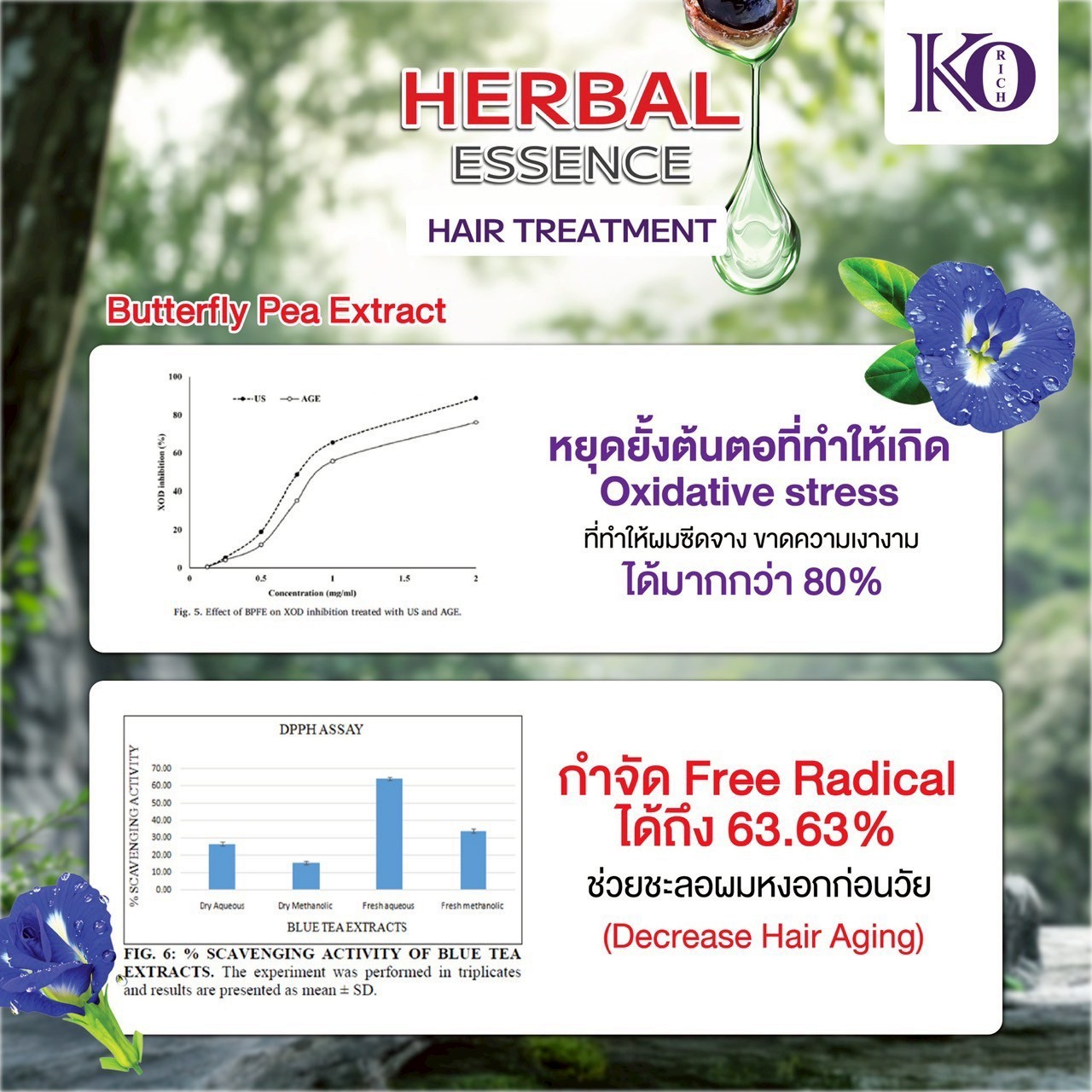 แชมพู ทรีตเม้นท์ เคโอริช (Herbal Essence KO Rich) | Shopee Thailand