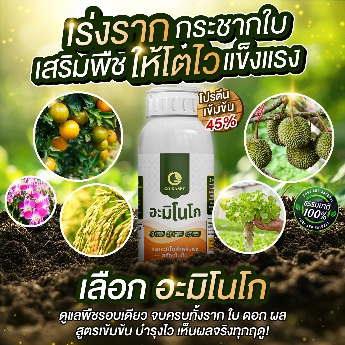 [2ขวด] อะมิโนโก(ขวดใหญ่) 1,000 ML - AMINO GO กรดอะมิโนสำคัญต่อพืช 19 ...