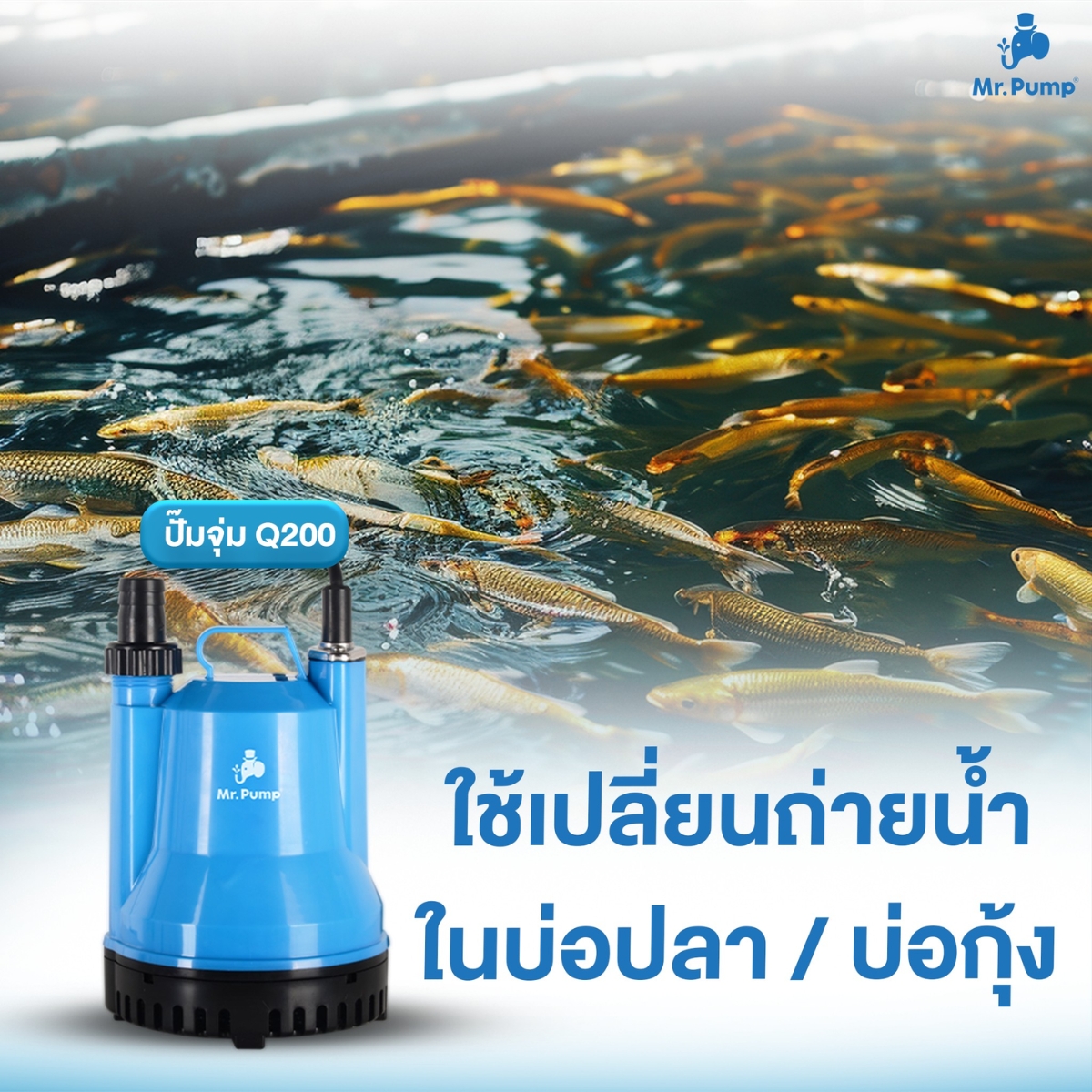 Mr.Pump ปั๊มจุ่ม 200 วัตต์ ท่อส่ง 1 นิ้ว รุ่น Q200 ไดโว่ ปั๊มแช่ | Shopee Thailand