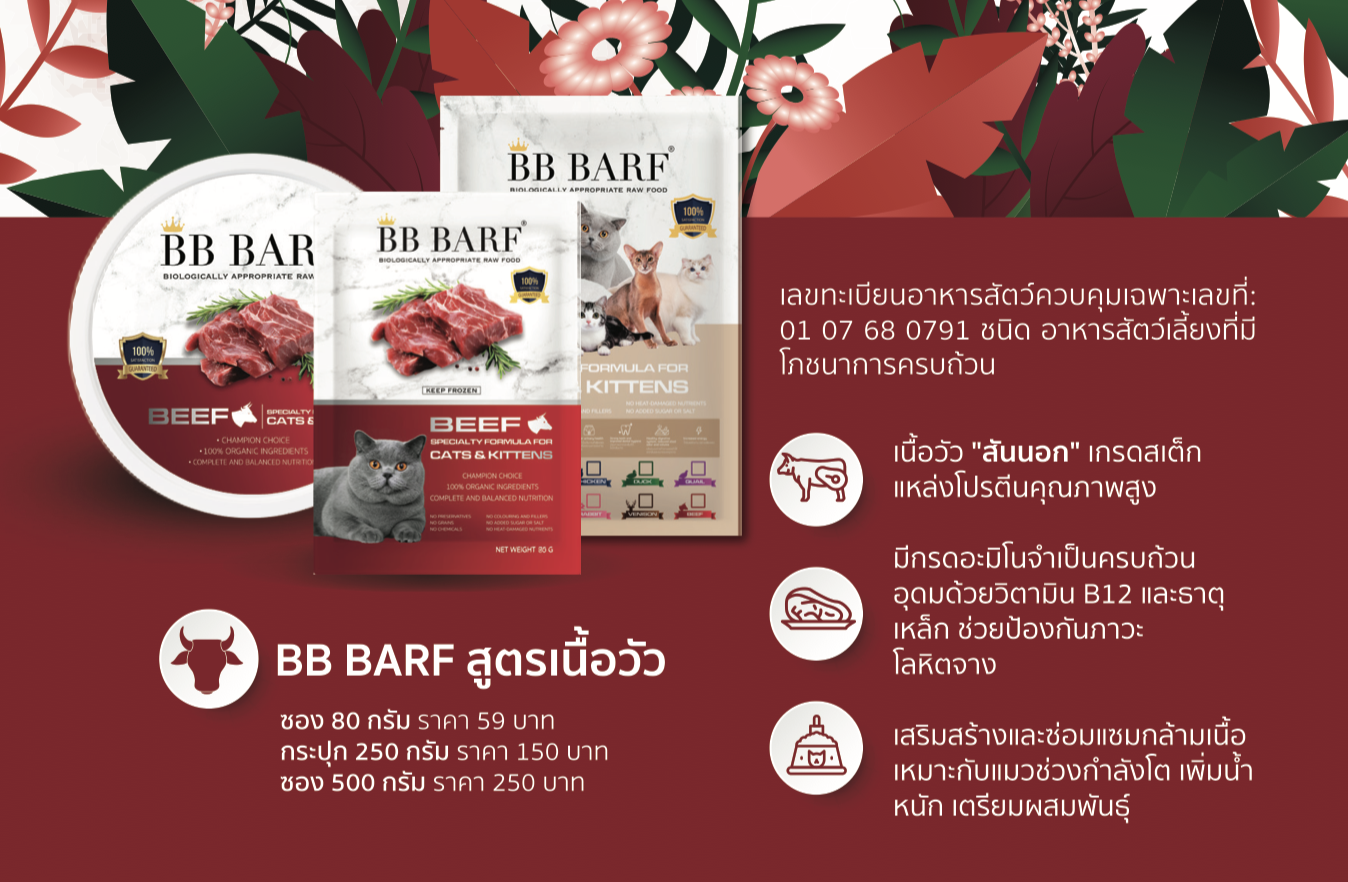 บาร์ฟแมว สูตรกระต่าย กวาง นกกระทา เนื้อวัว อาหารแมว บีบี บาร์ฟ BB BARF ...