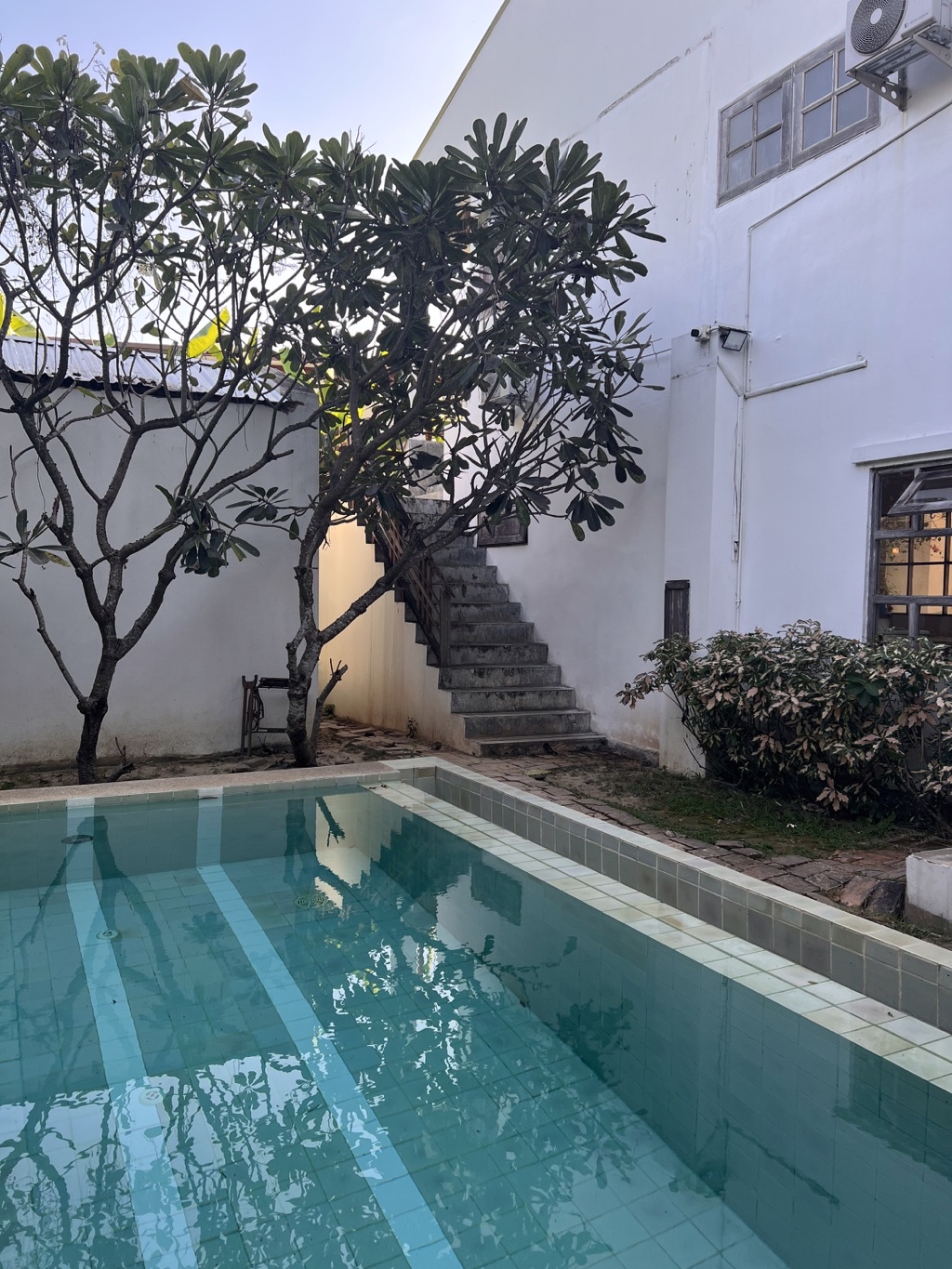 เสื้อแฟชั่นคอเหลี่ยม สีชมพู | Shopee Thailand