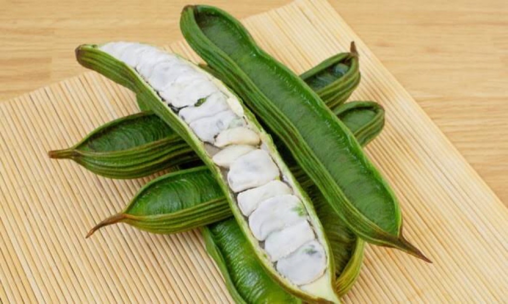 ต้นไอศกรีม หรือ "ต้นถั่วไอติม" (Ice Cream Bean) เป็นต้นไม้ที่มีชื่อ ...