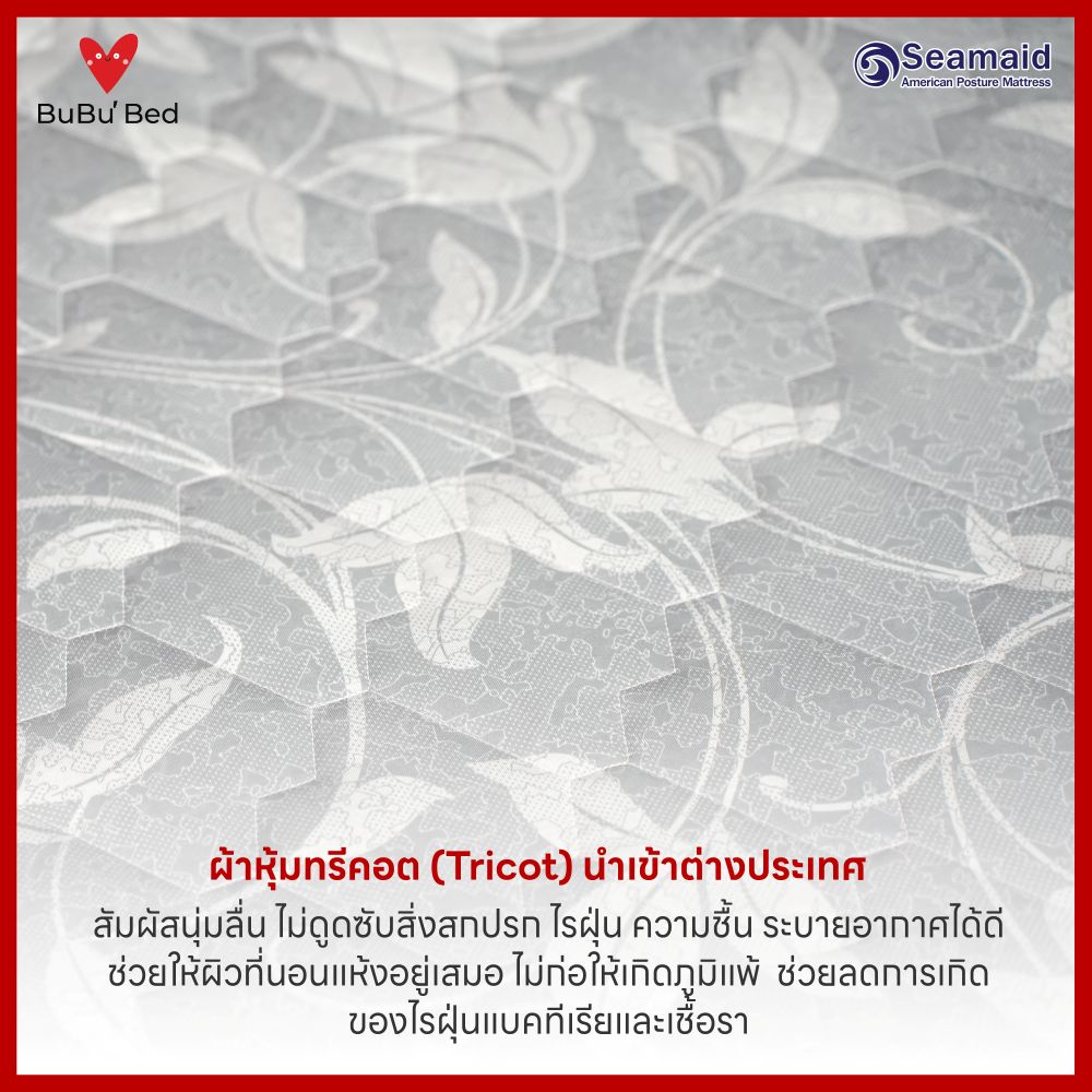 BuBu' Bed ที่นอนไฮคาร์บอนสปริง รุ่น Extra (เอ็กซ์ตร้า) หนา 9 นิ้ว ส่ง ...