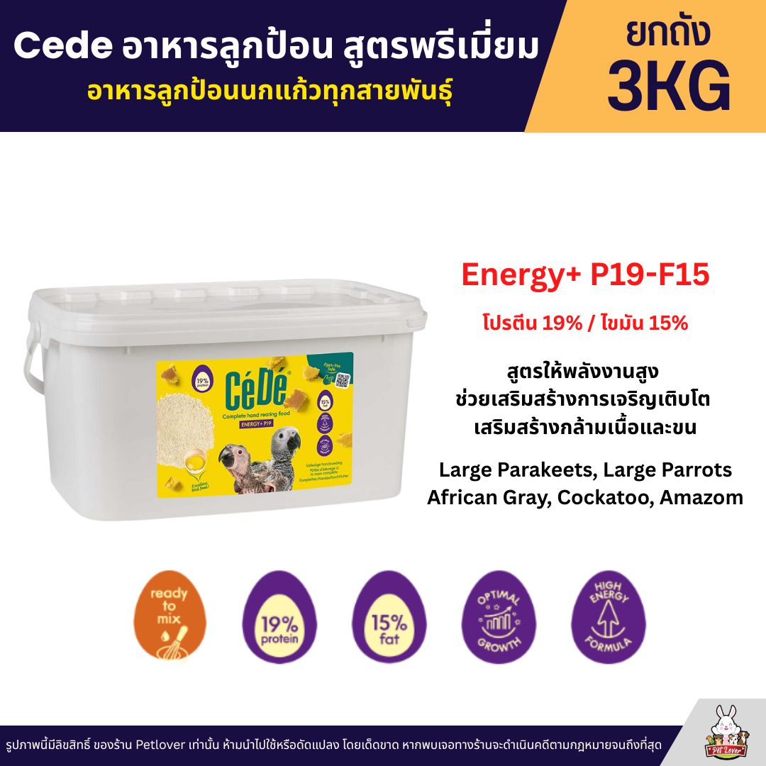 (ยกถัง 3KG) Cede อาหารลูกป้อน สูตรพรีเมี่ยม สูตร Energy+ / Protein+ | Shopee Thailand
