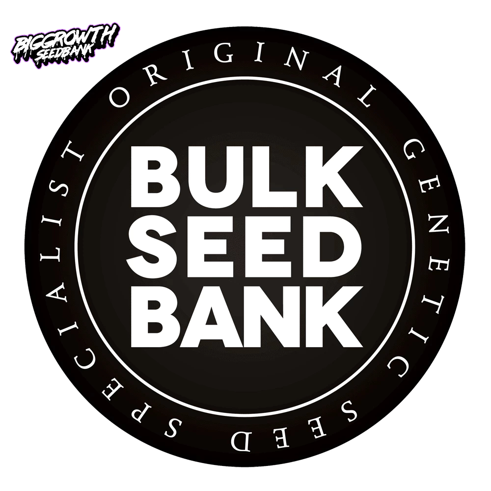 เมล็ดกัญชาเพศเมีย 100% โฟโต้ จำนวน 10เมล็ด ค่าย BulkSeedbank จากประเทศ ...