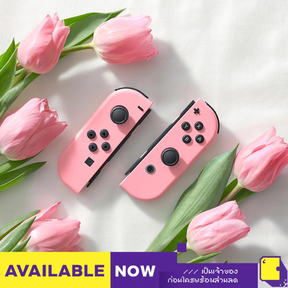 Nintendo Switch™ อุปกรณ์ Joy-con & Pro Controller (By ClaSsIC GaME ...