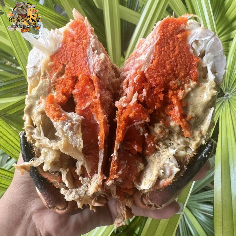 🦀ปูขนมปัง นำเข้าจากนอร์เวย์ ตัวใหญ่ๆมี2ไซส์ 600-800 กรัม และ 800กรัม ...
