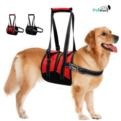 ที่พยุงตัวสุนัข S รอบอก 20.5-25.5 นิ้ว (ุ52-65cm) PIDOG LIFT HARNESS ...
