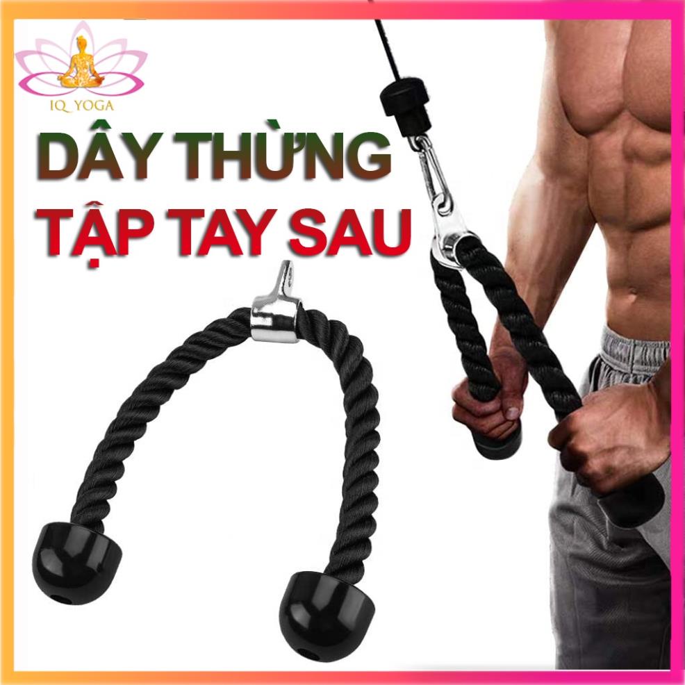 Tricep Rope Bicep รองรับ GYM Training Full Group of Back Arms, Front ...
