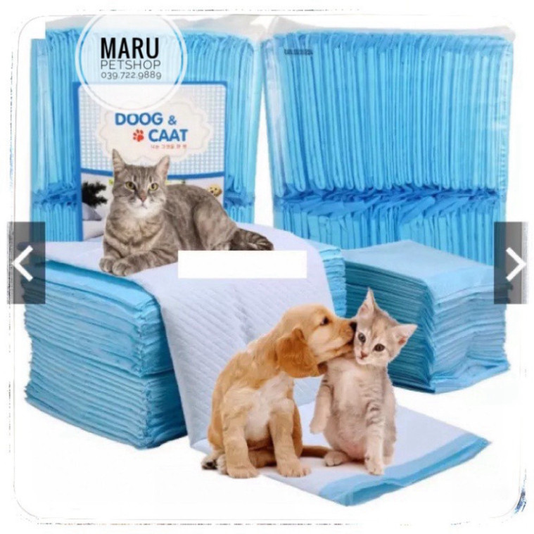 ผ้าอ้อมสําหรับสุนัขและแมว Sizes L, M, S - Keeps House Clean ได้อย่างมี ...