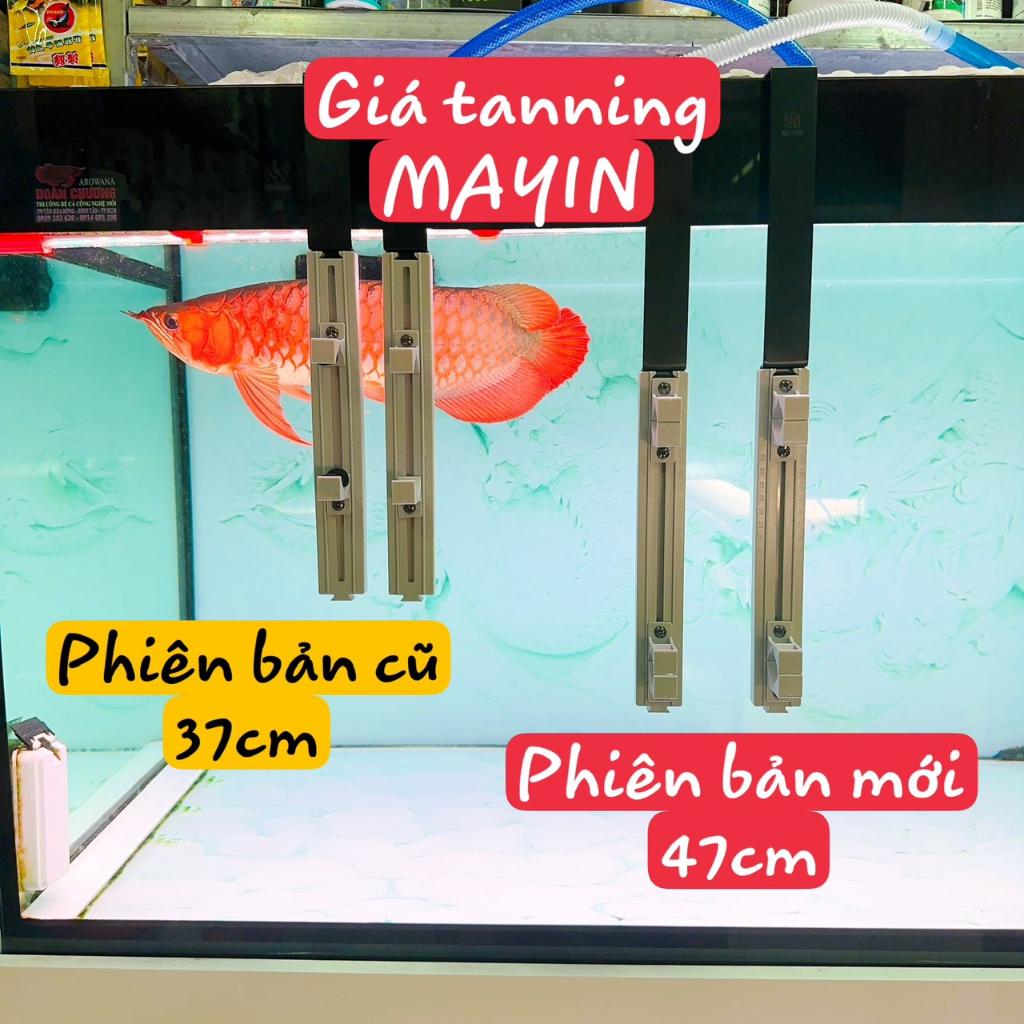 ราคา TANNING MAYIN และ G2 (รุ่นใหม่) รุ่น 3 ขนาด 50 ซม. 57 ซม. สําหรับ ...