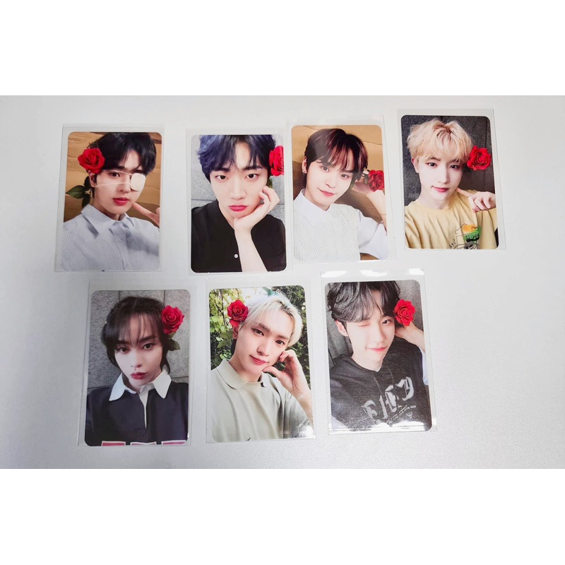 Set TEMPEST rose ver A card Of Makestar (มีจําหน่าย) | Shopee Thailand