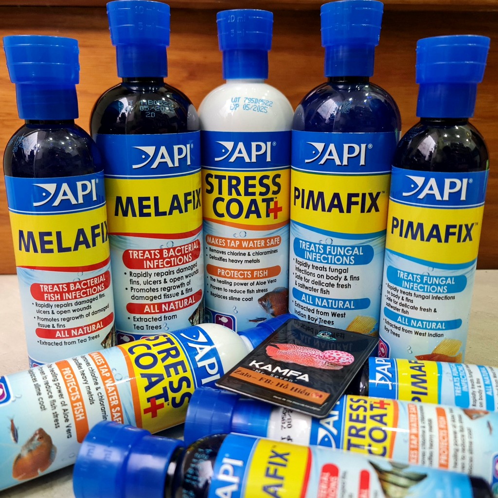 Api MELAFIX และ PIMAFIX - การเตรียมต้านเชื้อแบคทีเรีย เชื้อรา - Perfect ... Api MELAFIX และ PIMAFIX - การเตรียมต้านเชื้อแบคทีเรีย เชื้อรา - Perfect ...