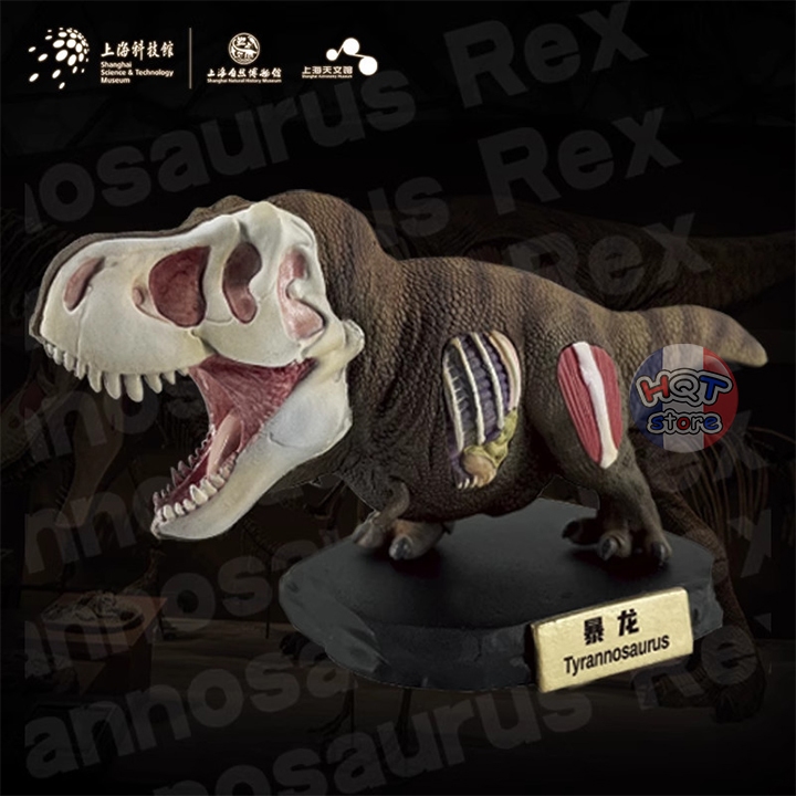 โมเดลไดโนเสาร์ T-Rex PVC พิพิธภัณฑ์ประวัติศาสตร์ธรรมชาติเซี่ยงไฮ้ Baby ...