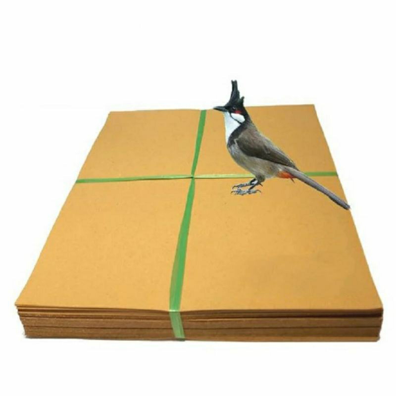 Paper Cage Liner Greete Bird Crest Paper Cage Square Bird Cage Full ...