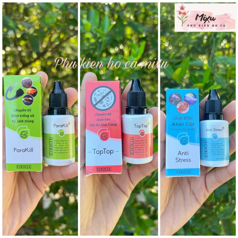 Anti Stress & ParaKill - TopTop เชี่ยวชาญในการดูแลปลาเพื่อป้องกัน Fungi ...