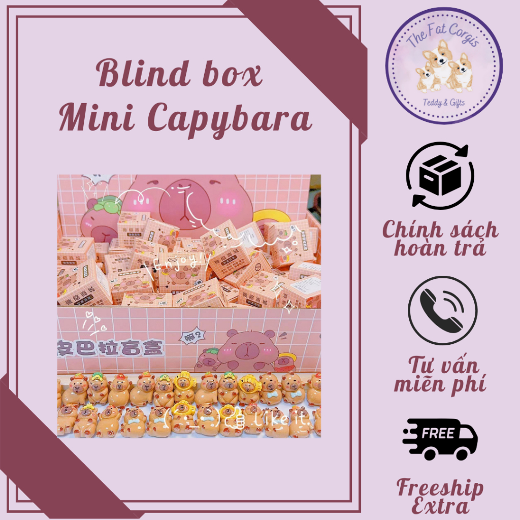Tri (Retail Box ) Surprise Box Blind Box mini Capybara Model In Vain ...