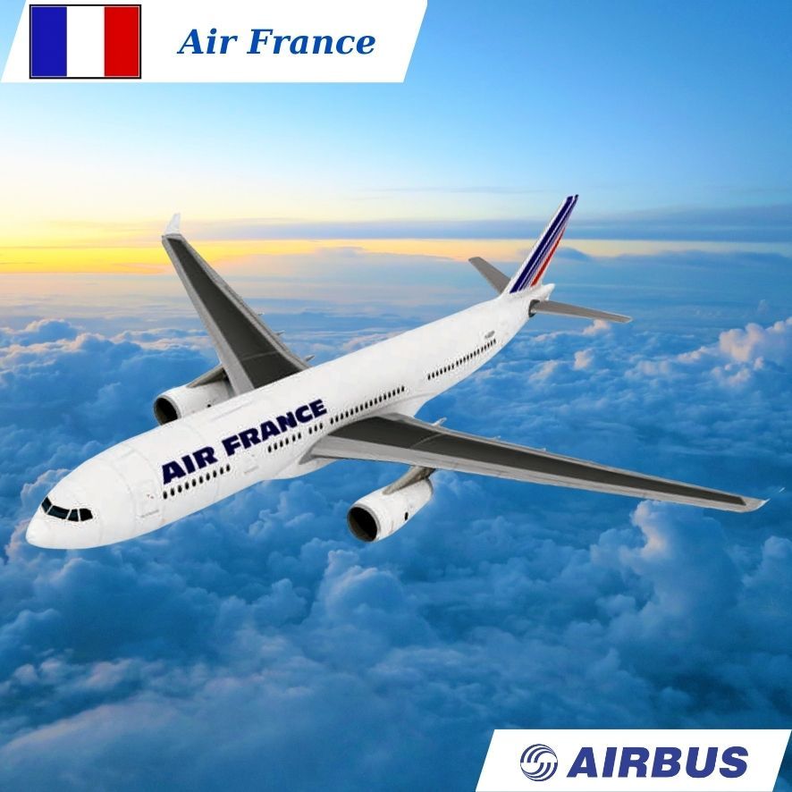 Airbus A330 Air France Commercial Plane Paper Model | Shopee Thailand