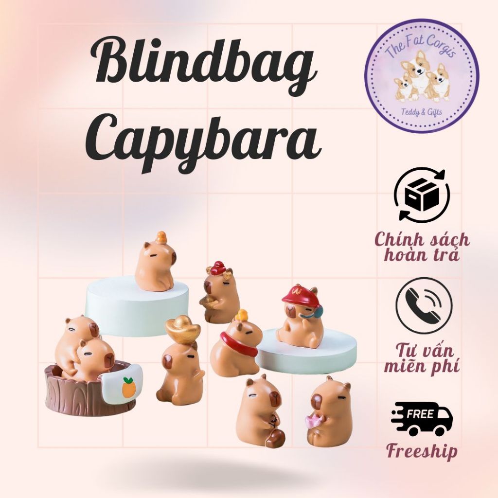 (1 ถุง) Blindbag blind bag Capybara Capybara โมเดลตัวละครตกแต่ง ...