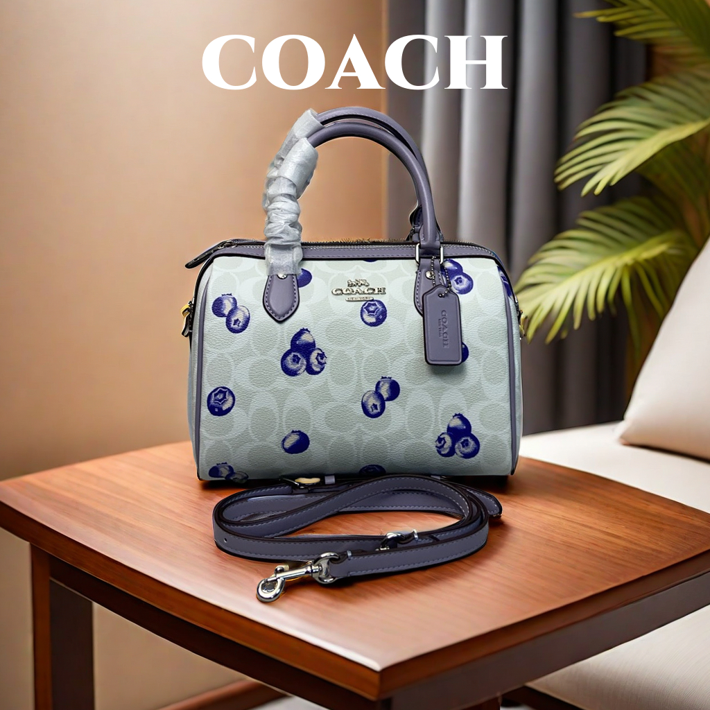 หมอนหนุน Coach Fruit Season Teri Boston รุ่น CT216 | Shopee Thailand