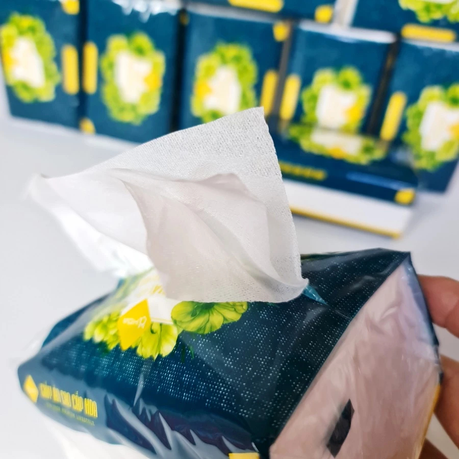 (ราคารีเทล = Wholesale) 3-LAYER HDA PREMIUM RETRACT SILK PAPER BAG ...