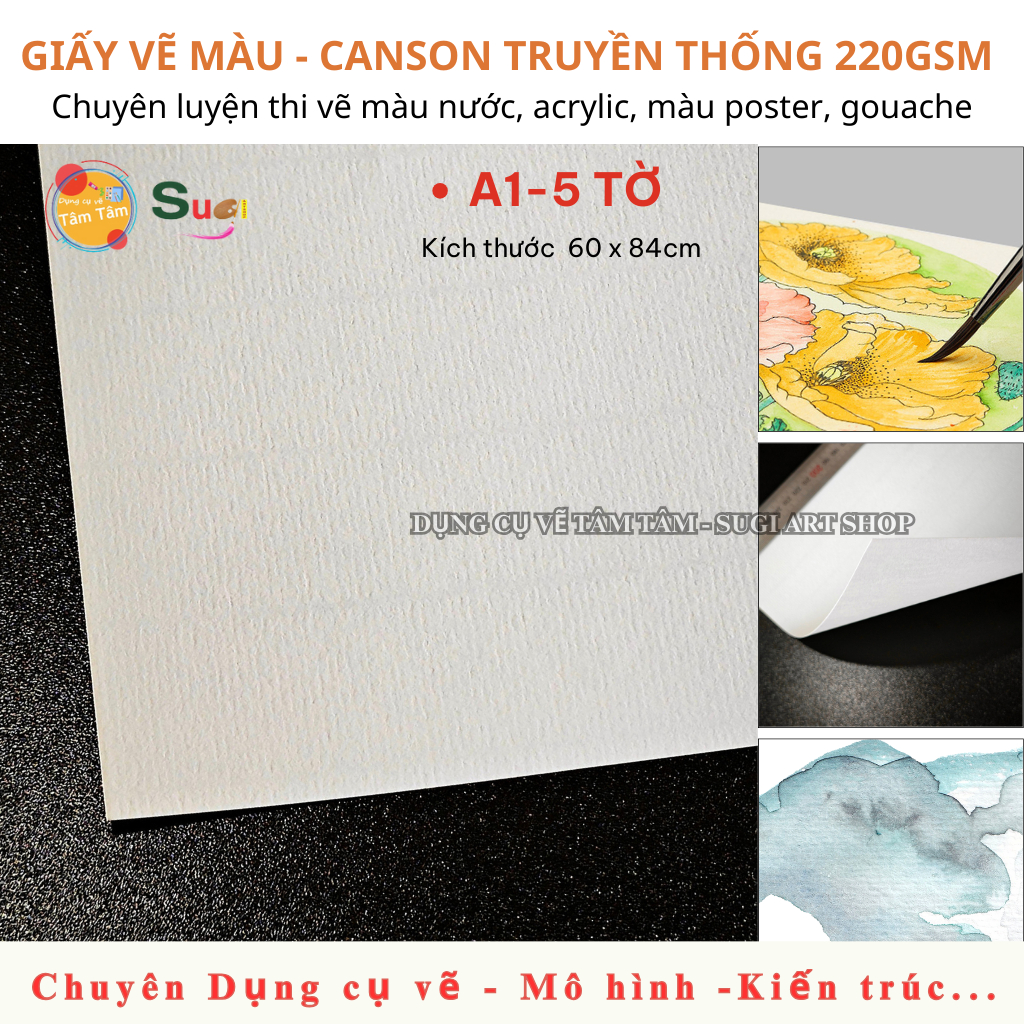 [ Canson Paper A1, A0 ] กระดาษวาดภาพสี Canson 220gsm, Canson เม็ดแนวนอน ...