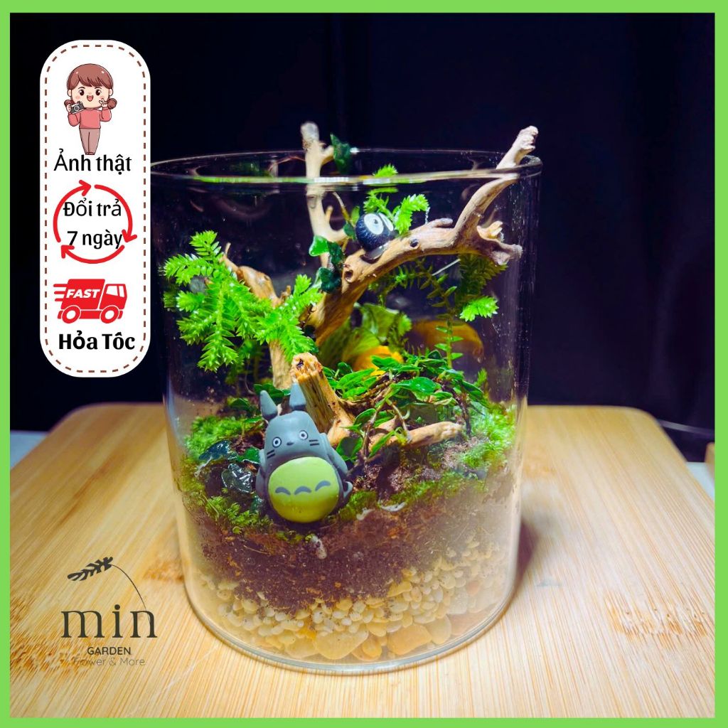 Mini Glass Terrarium - Min Garden (แถมถุงตาบอด/พวงกุญแจสุ่ม) | Shopee ...